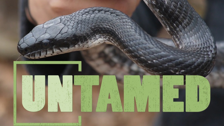 Snakes | UNTAMED | #GoOpenVA