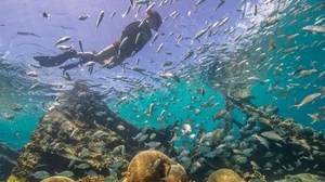 Designing a Mechanical Invention for the Ocean Ecosystem | #GoOpenVA