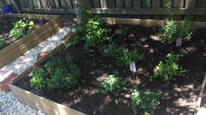 Garden Grid Area Activity | #GoOpenVA