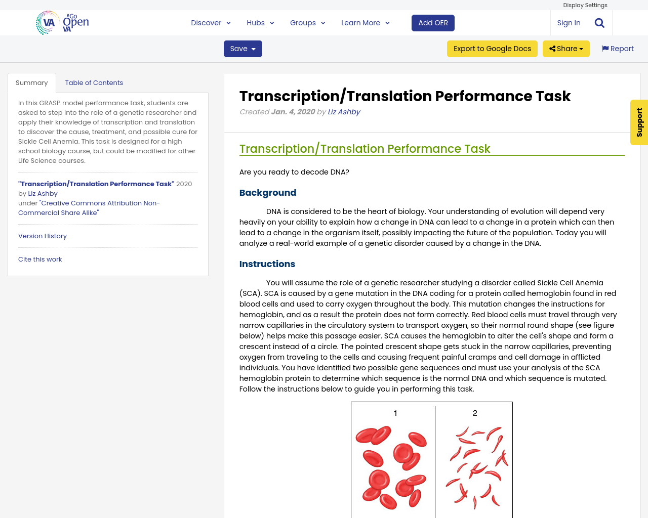 Transcription/Translation Performance Task | #GoOpenVA